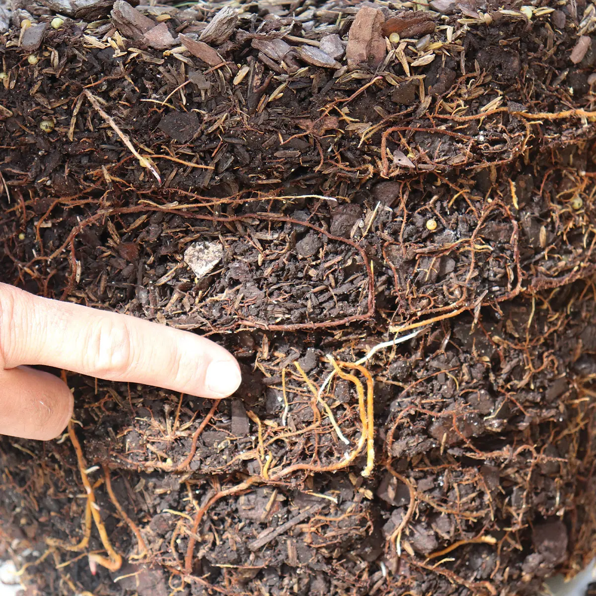 Planting by the Season | Johnson's Nursery | KB