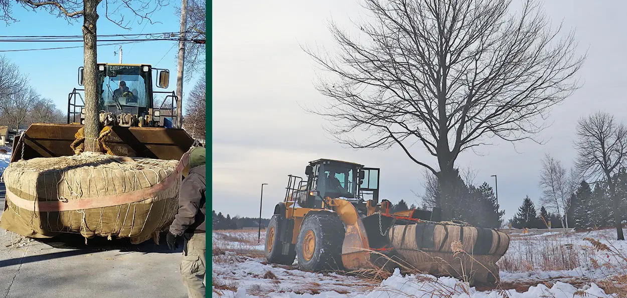 Planting by the Season | Johnson's Nursery | KB