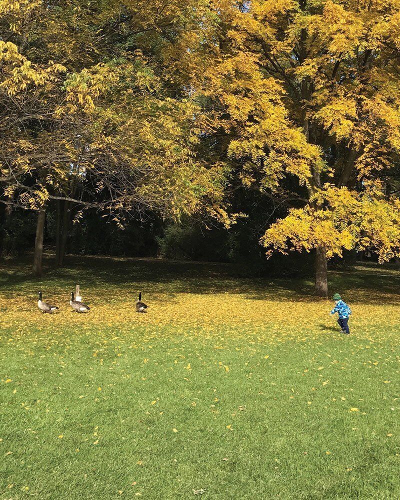 Articles Archives | Knowledgebase | Johnson's Nursery | Menomonee Falls