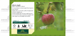 Liberty Apple | Johnson's Nursery | KB