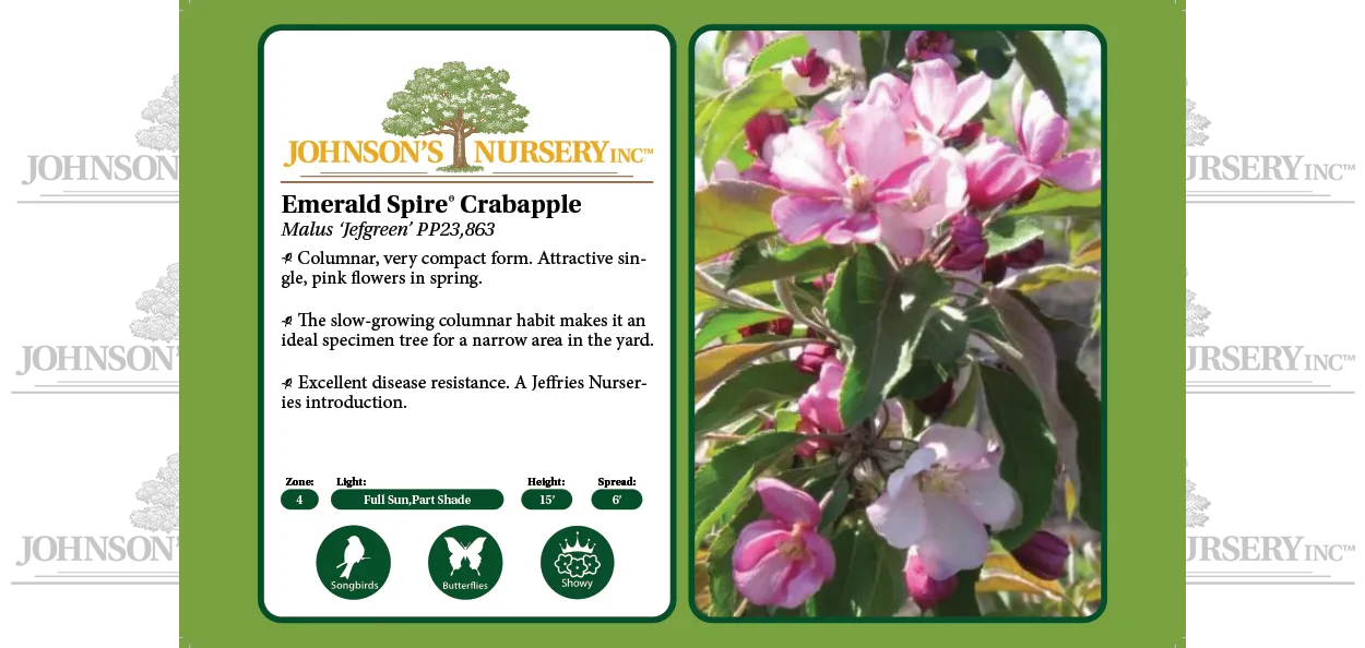 Emerald Spire® Crabapple | Johnson's Nursery | KB