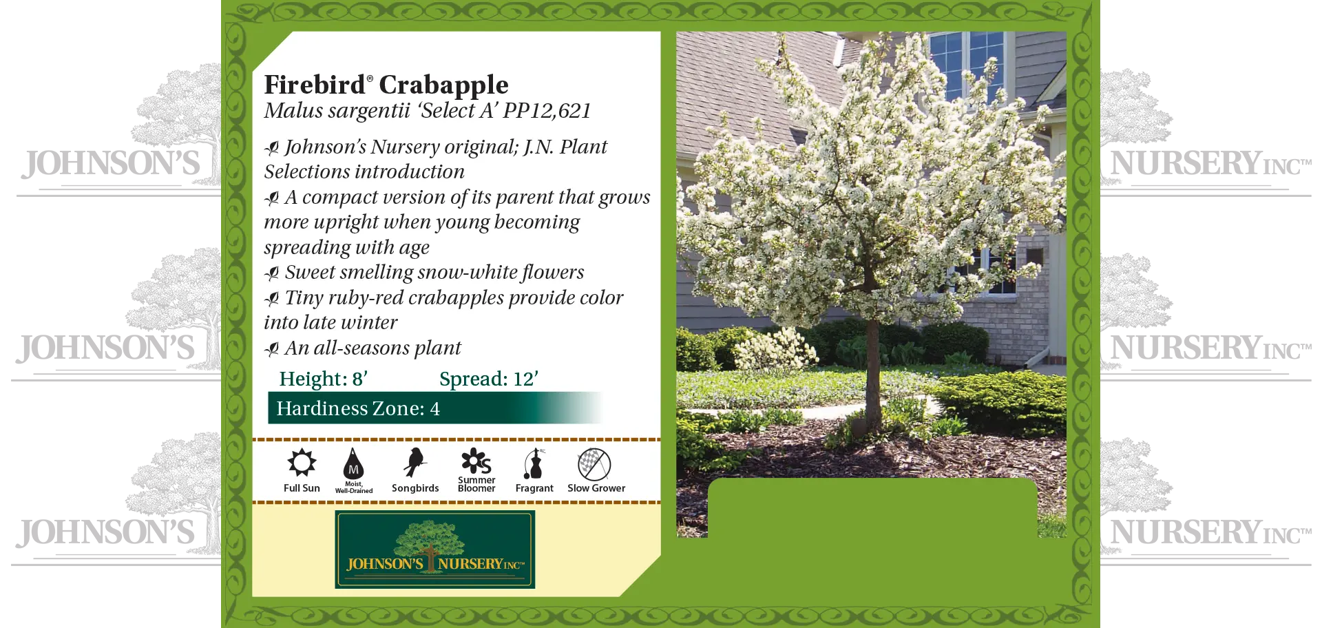 Firebird® Crabapple | Johnson's Nursery | KB