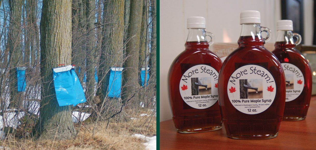 Tapping Maple Syrup | Johnson's Nursery | KB