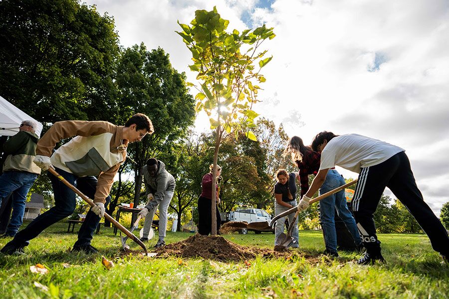 Connecting People and Plants | Johnson's Nursery