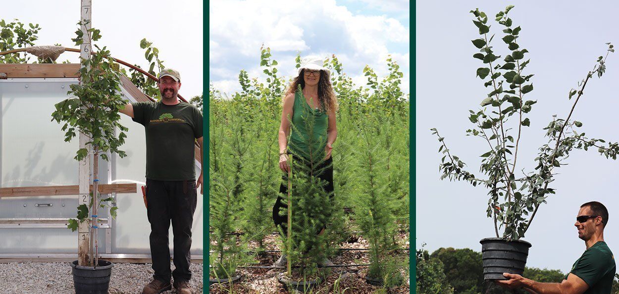 RootMaker® Containers | Johnson's Nursery | KB