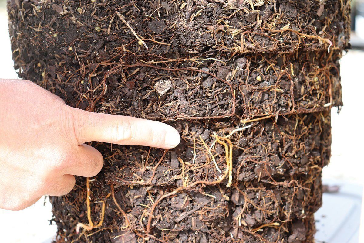 RootMaker® Containers | Johnson's Nursery | KB