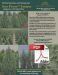 Star Power™ Juniper | Johnson's Nursery | KB