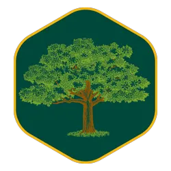 North Wind® Maple | Johnson's Nursery | KB