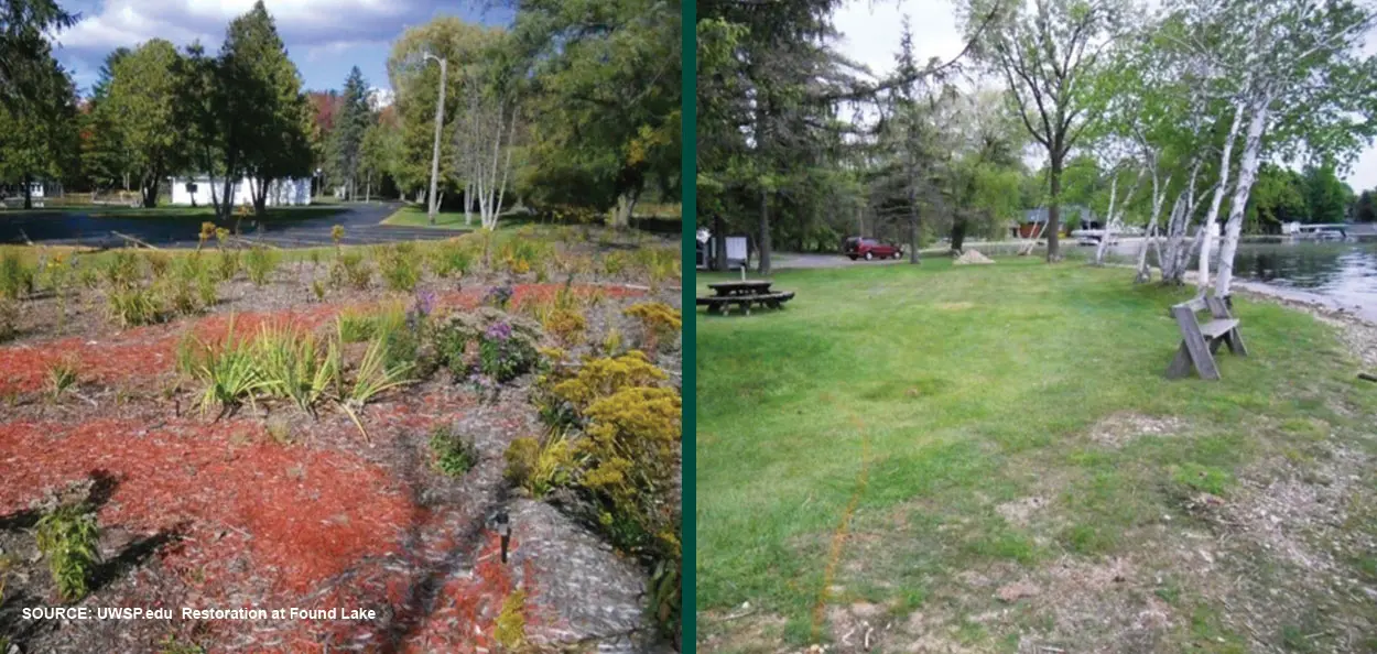 Shoreline Preservation Plants | Johnson's Nursery | KB