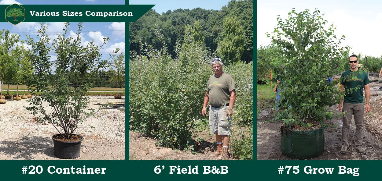 Grow Bags | Johnson's Nursery | KB